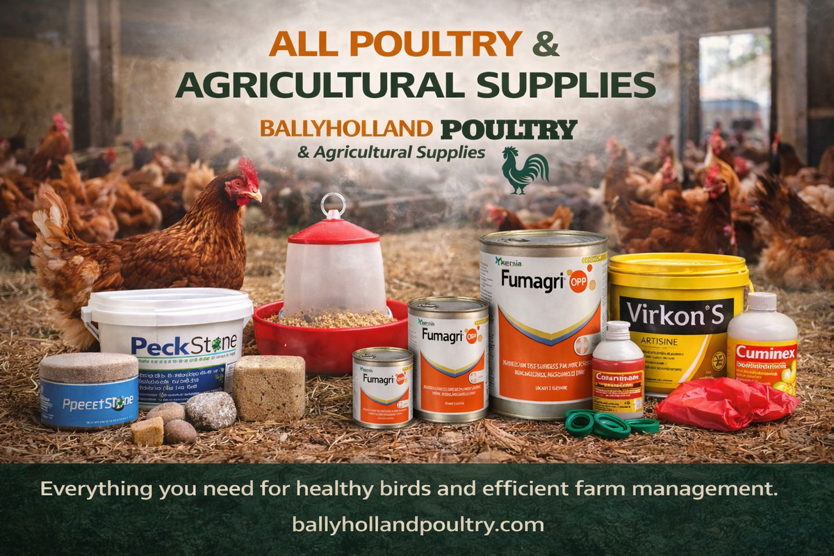 all — Ballyholland Poultry