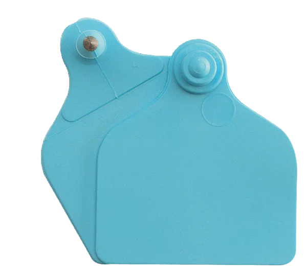 Blue Ear Tag Maxi + Maxi (71x63mm) | 20 Pack — Ballyholland Poultry
