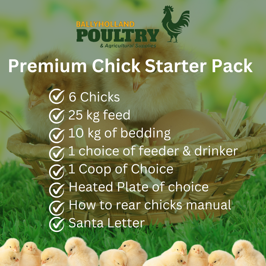 Essential Premium Chick Starter Kit — Ballyholland Poultry