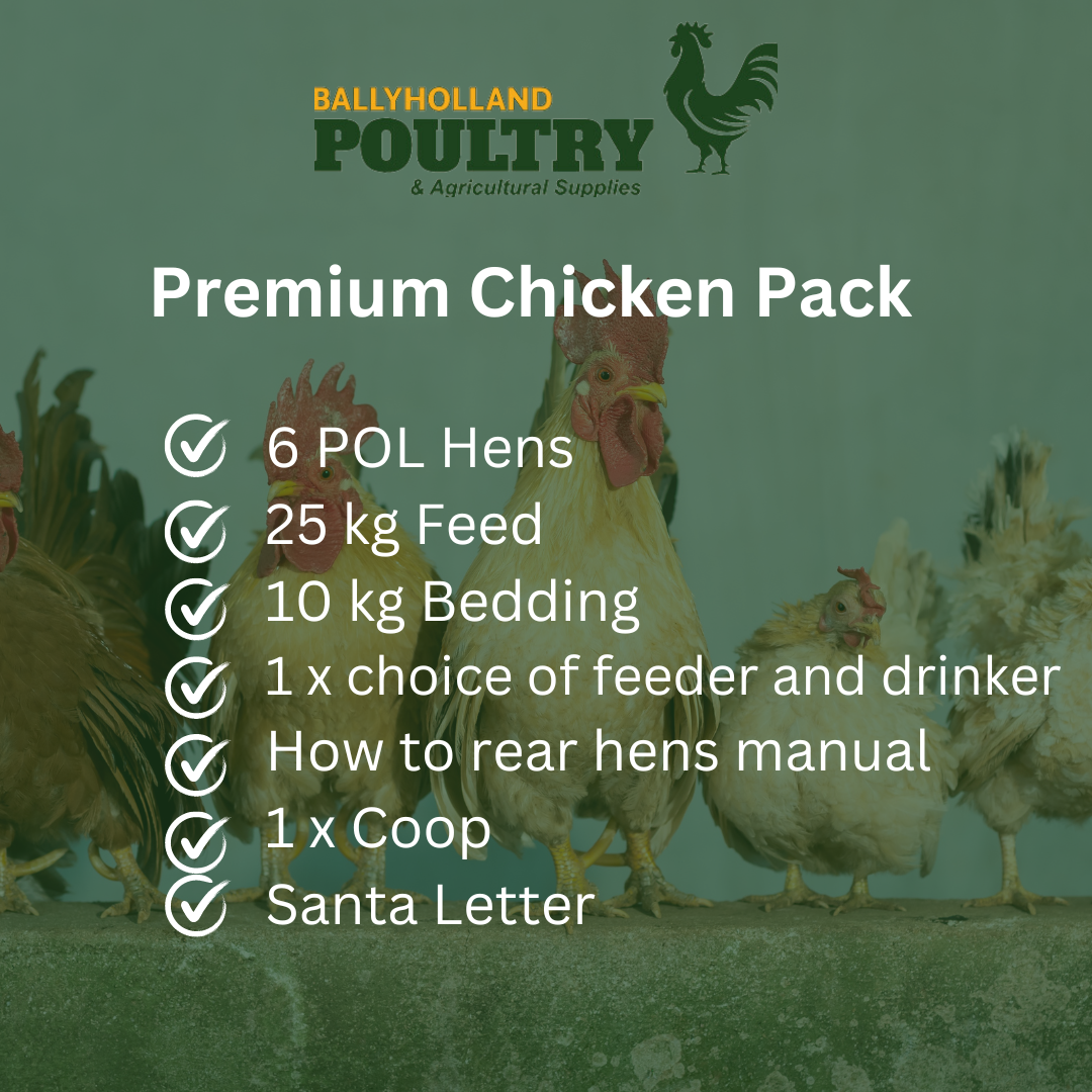 Premium Chicken Pack - High-Quality Poultry Selection — Ballyholland ...