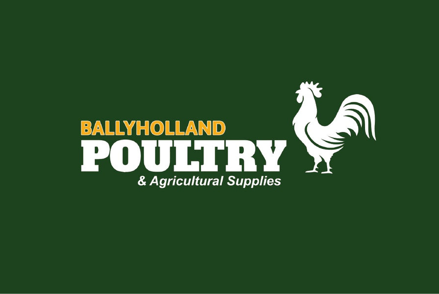 All products — Ballyholland Poultry