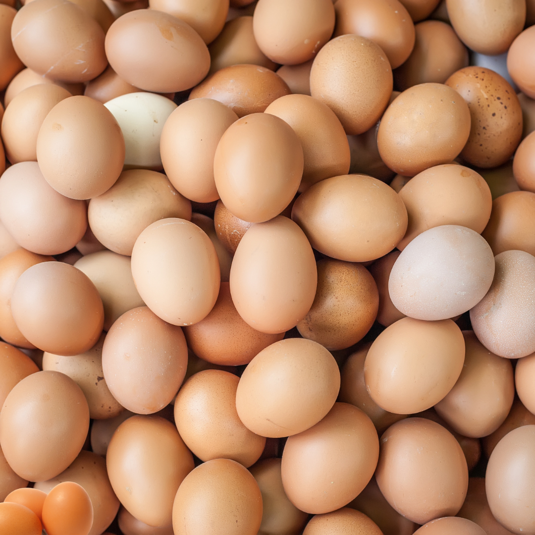 Ballyholland Poultry & Agricultural Supplies